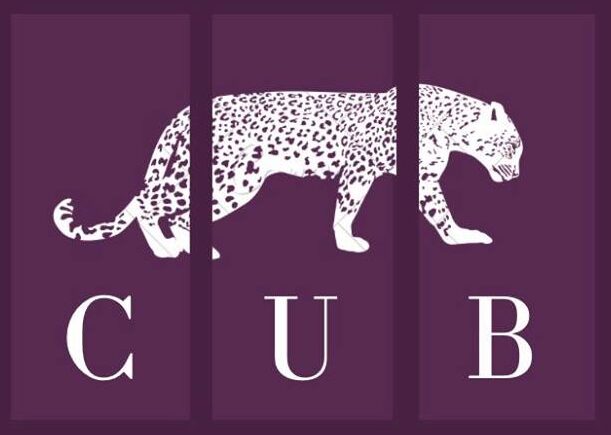 Film Review: Official Secrets - CUB Magazine
